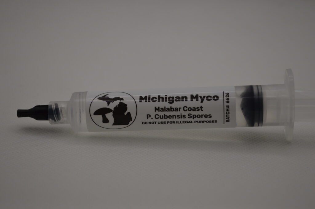 Malabar Coast Cubensis Spore Syringe - 11cc - Michigan Myco