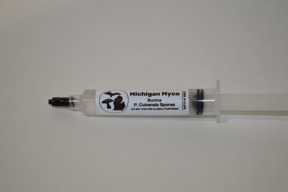Burma Cubensis Spore Syringe - 11cc | Michigan Myco